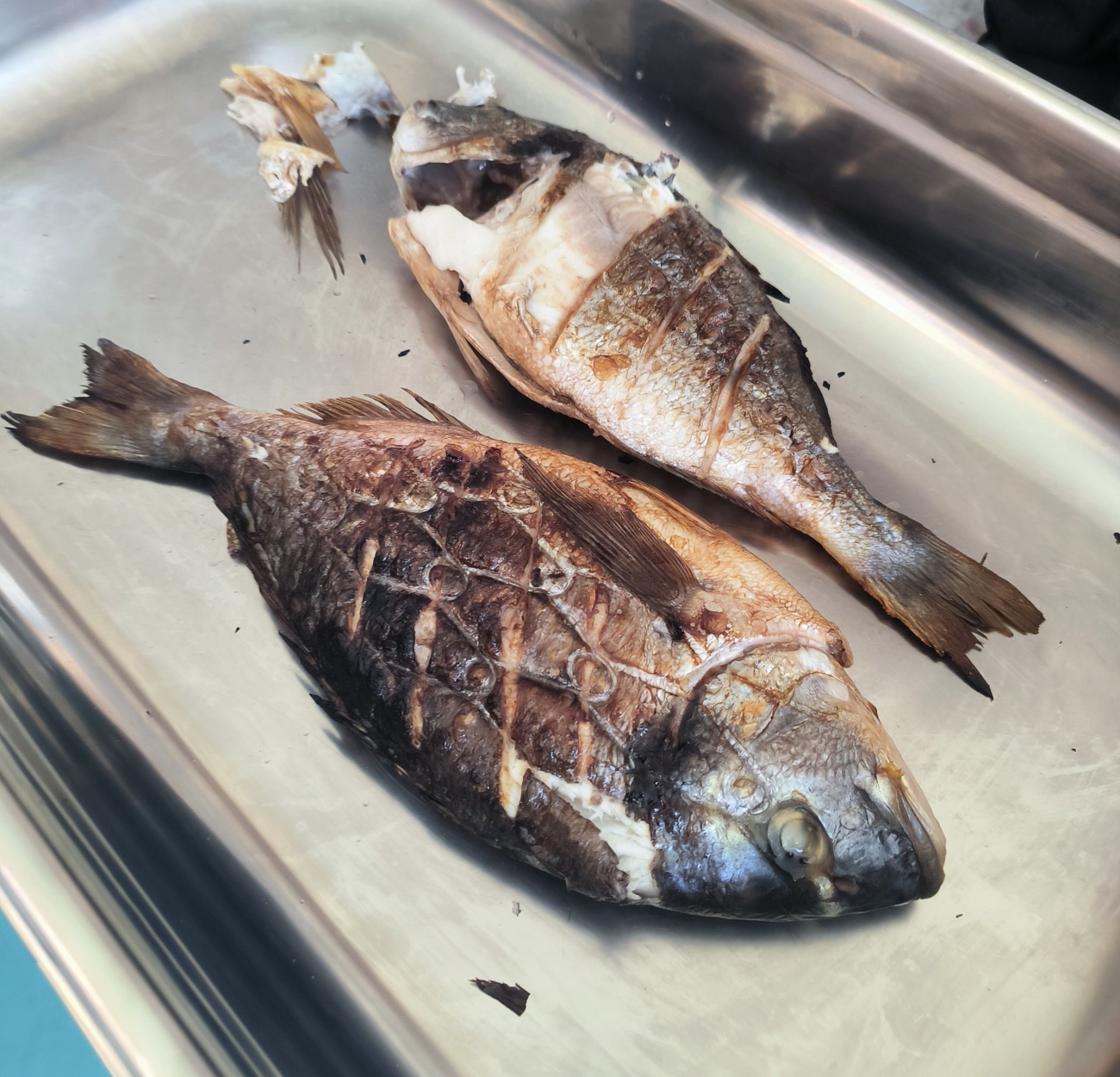 Pražma na grilu s arašídovou omáčkou 🐟 Grilovací recepty | Top Grily